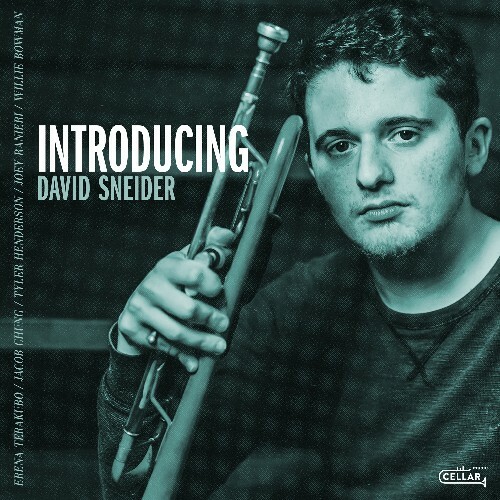David Sneider - Introducing (2025) FLAC + Hi-Res