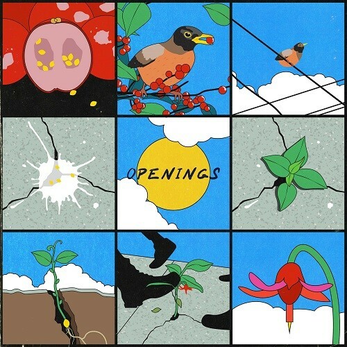 Zev Shearn-Nance - Openings (2025) FLAC + Hi-Res