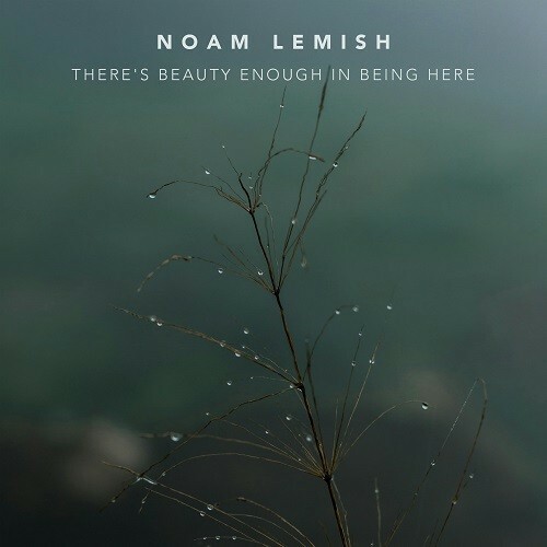 Noam Lemish - There's beauty enough in being here (2025) FLAC + Hi-Res
